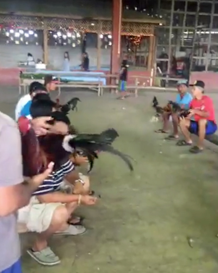 Gallery Ormoc – Ormoc City Global