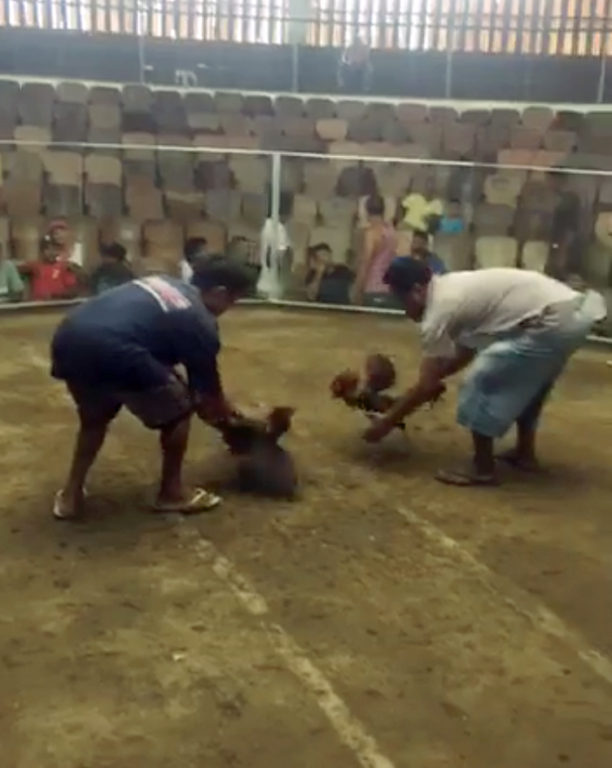 Cockpit Arena – Ormoc City Global